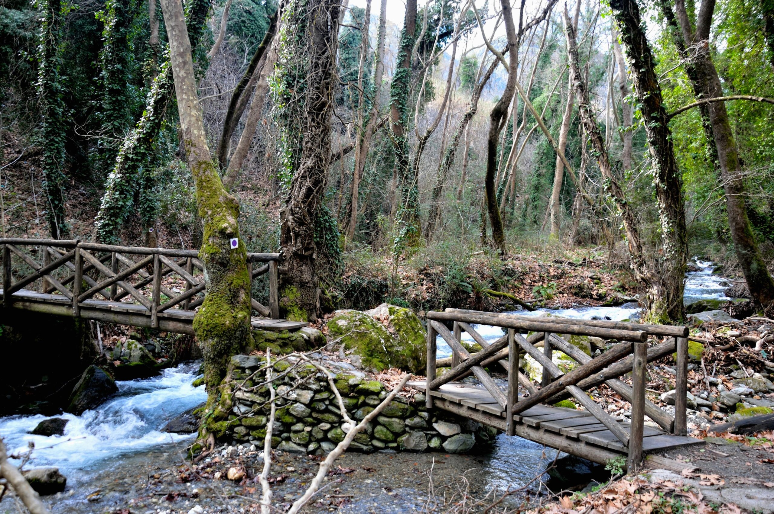 Hiking on the banks of Kastoras River in Northern Taygetos - Spartan Routes